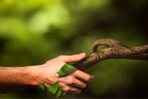 219 Hilarious Nature Jokes for Tree-mendous Fun - Tara-arts