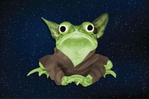 151 Hilarious Yoda Jokes for Star Wars Fans - Tara-arts